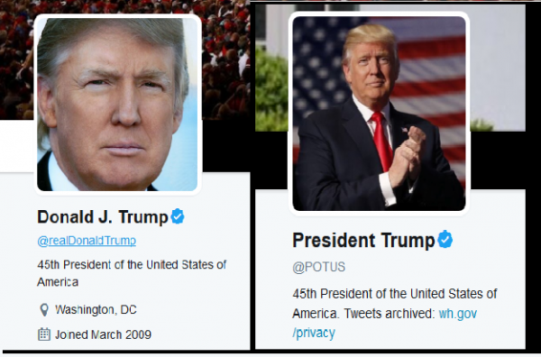 Self-proclaimed "Intellectual" Claims Trump Blocking Her On Twitter Is ...