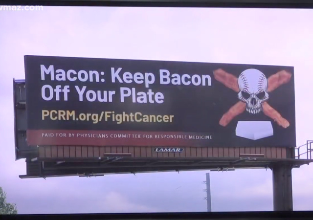 Macon Bacon Baseball Team Facing Calls to Change Name, Stop ...