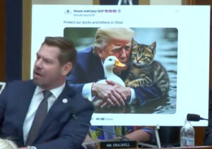 Rep. Swalwell Loses His Mind Over Trump Saving Cats, Ducks Memes